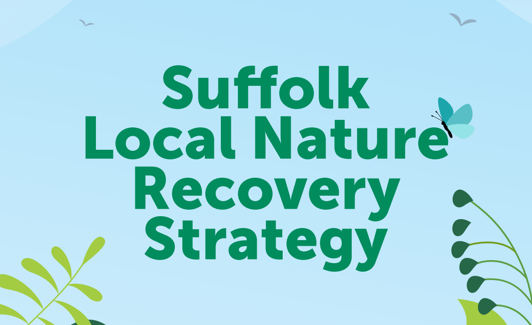 Nature recovery roadmap launched for Norfolk and Suffolk - Sustainable ...